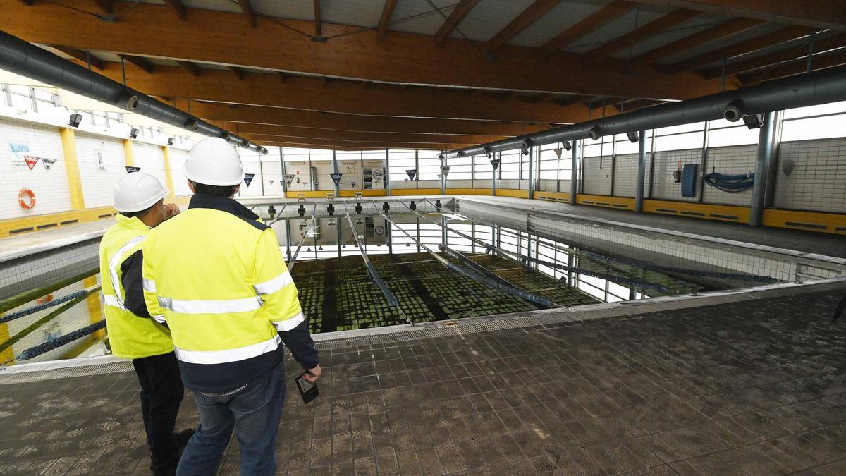 Teis se prepara para volver al agua