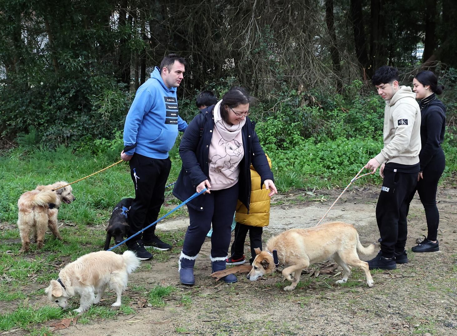 PASEO DE PERROS PERRERA VIGO: Un paseo de esperanza para los perros de ...