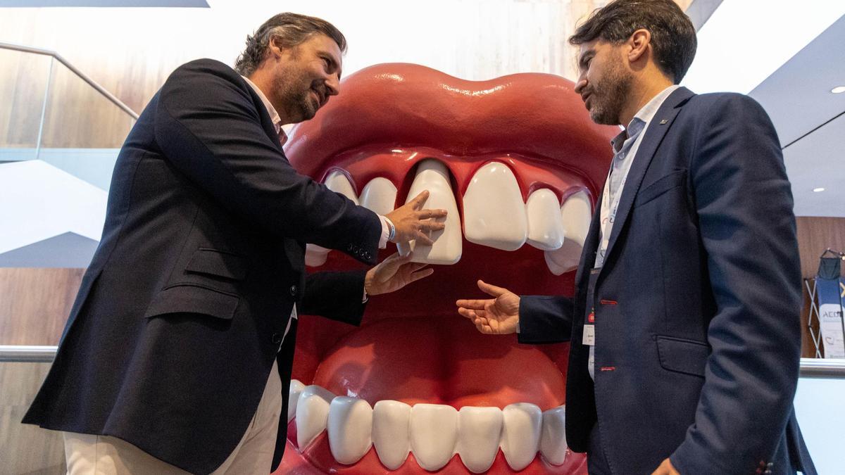 ¿Se te ha caído un diente? Expertos endodoncistas explican cómo puedes ...