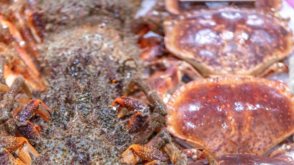 El mejor marisco del mundo, protagonista en tu mesa esta Navidad
