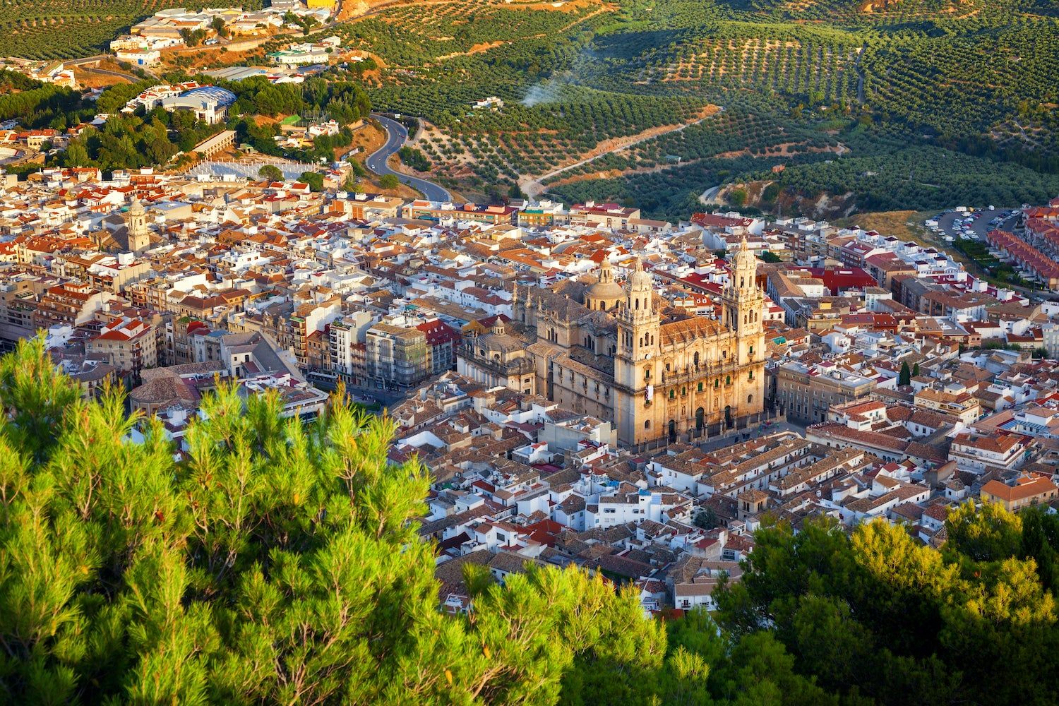 Jaén, mar de olivos milenarios - Viajar