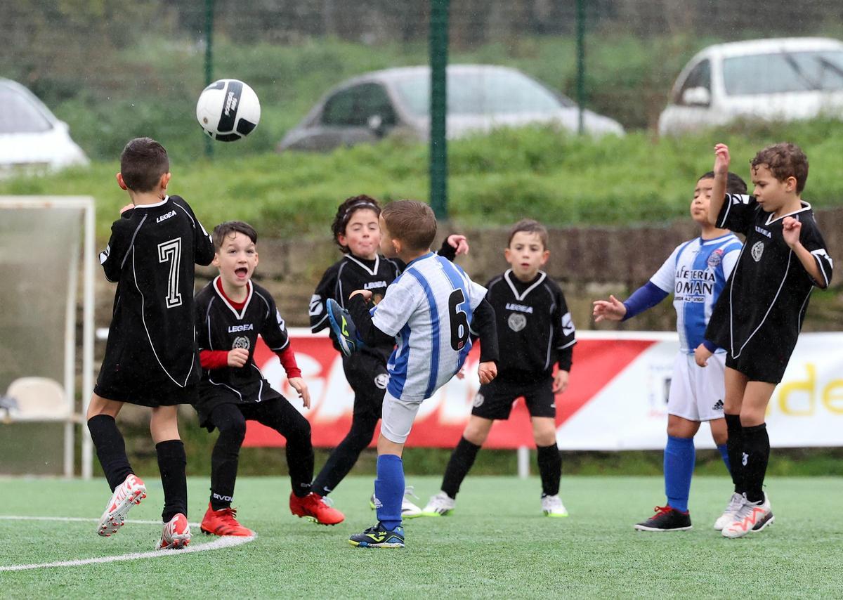 Día de reparto de títulos en Navia