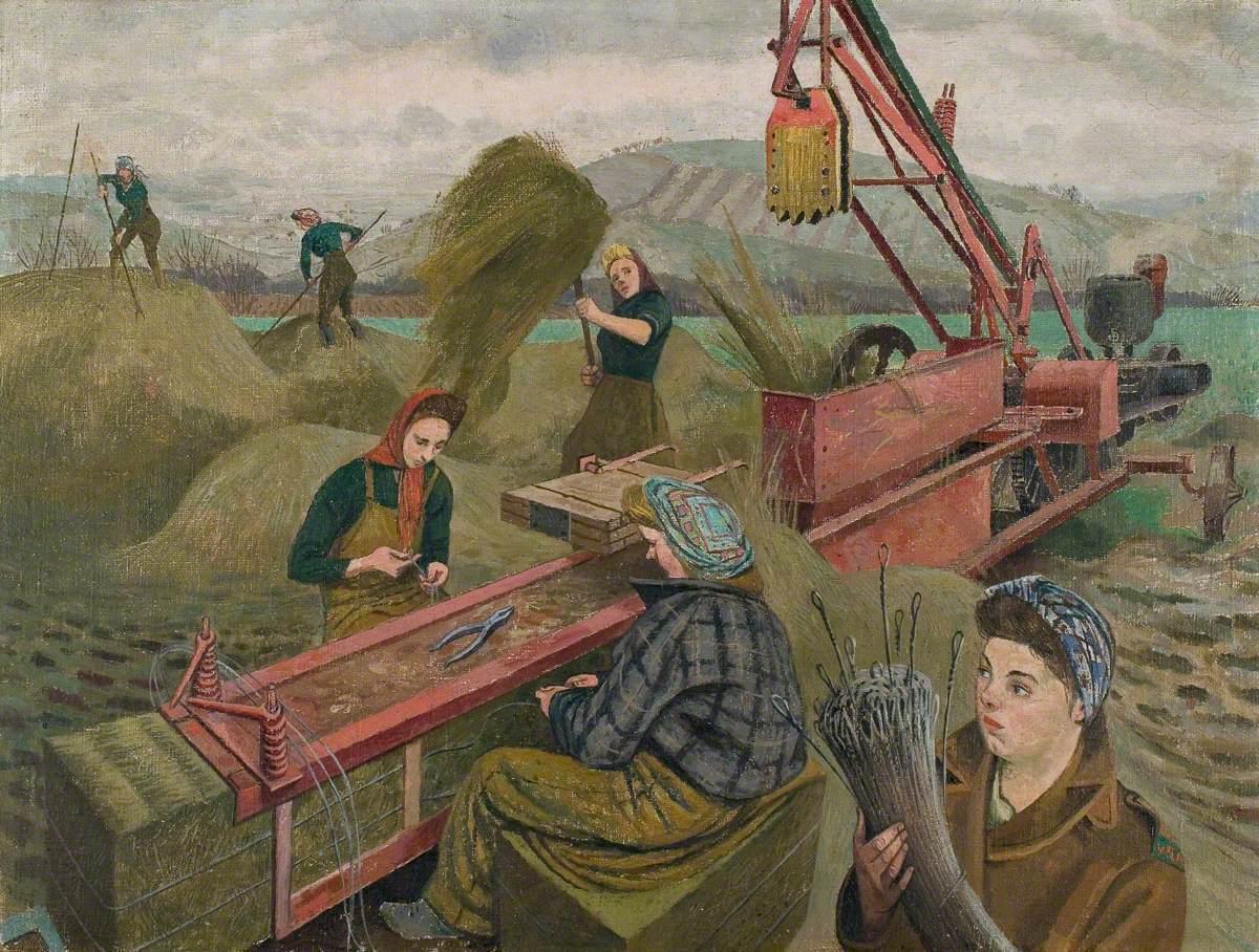 El efecto Matilda: Evelyn Dunbar