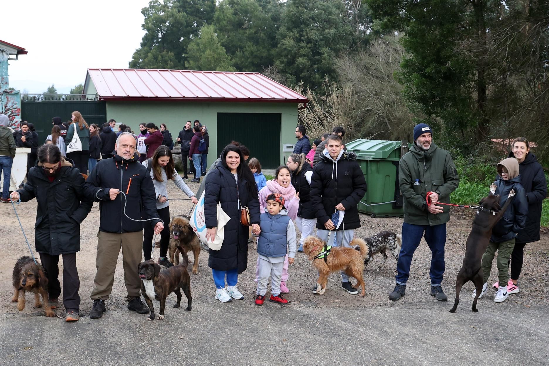 PASEO DE PERROS PERRERA VIGO: Un paseo de esperanza para los perros de ...
