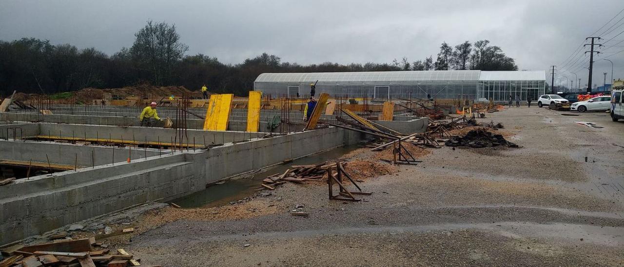 Planta de compostaje para centro de Aceesca : Construdata21