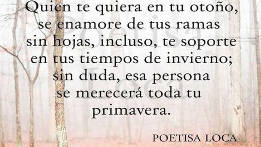 20 frases e imágenes para recibir la primavera 2020