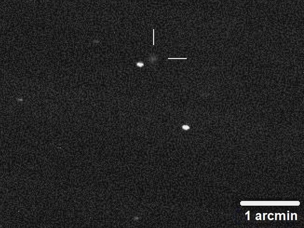 El cometa Borisov y la importante vigilancia de los objetos interestelares