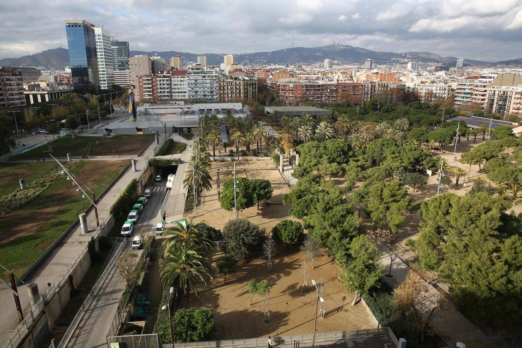 "Sobta que un ajuntament preocupat per fer refugis climàtics, accepti ...