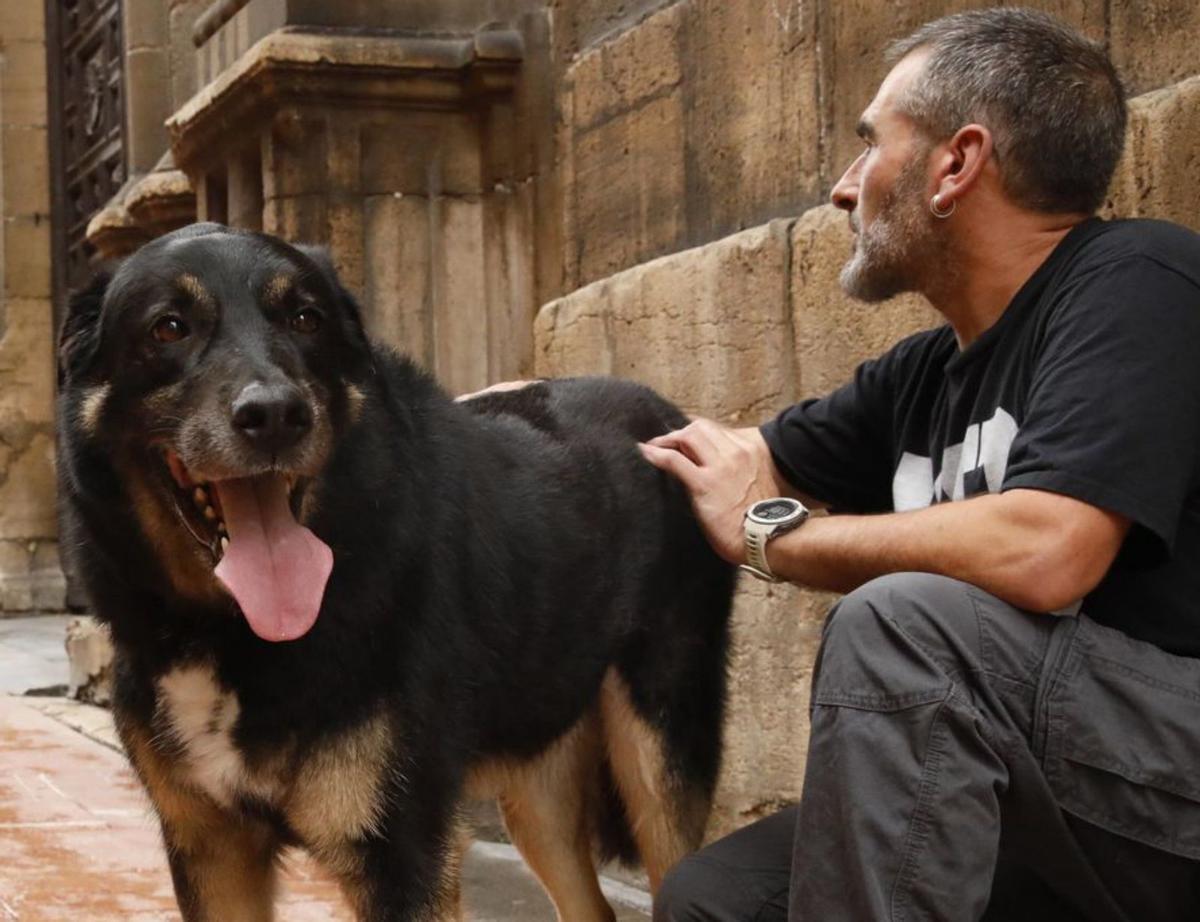 PERRO RUFO PELÍCULA | Alfombra roja para "Rufo" en Oviedo: regresa el ...