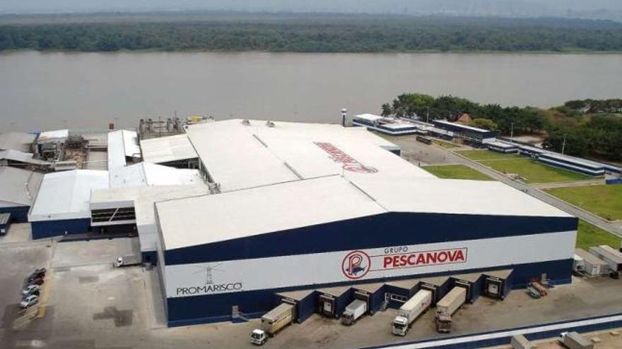 Pescanova vende dos granjas de camarón de su filial ecuatoriana Promarisco