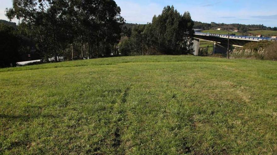 El gobierno pide al Principado que compre la finca de La Lloba usada en ...