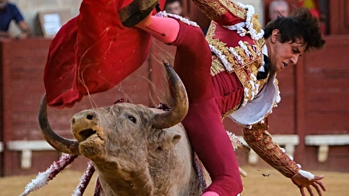 Roca Rey no toreará esta noche en Palma