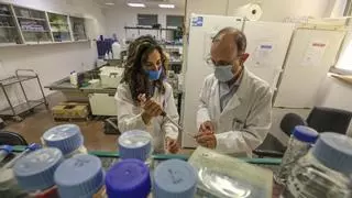 La ilicitana Prospera Biotech licencia su crema íntima a la ...