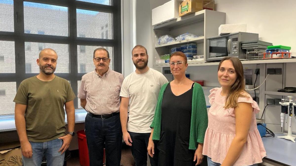 Investigadores de la UMU y el IMIB demuestran que los trasplantes de ...