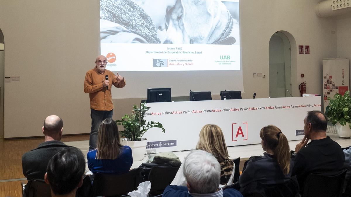 Las claves para entender de la mejor forma la relación con tu perro