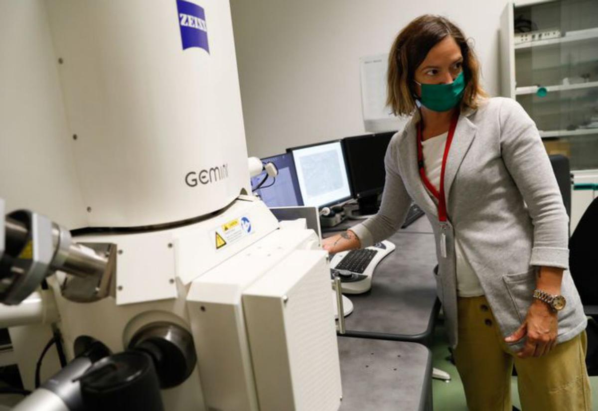 La I+D avilesina trata de imitar la fotosíntesis de las plantas para ...