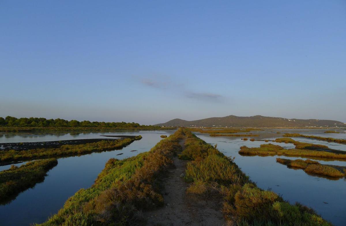 Imaginario de Ibiza: La retícula invisible de los estanques de es ...
