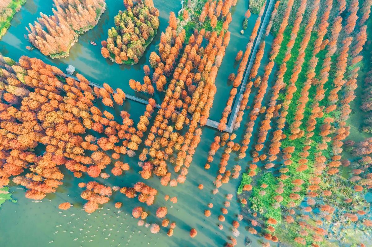 El lago Luyang, en Yangzhou, el lugar más extraño y fotogénico de China ...