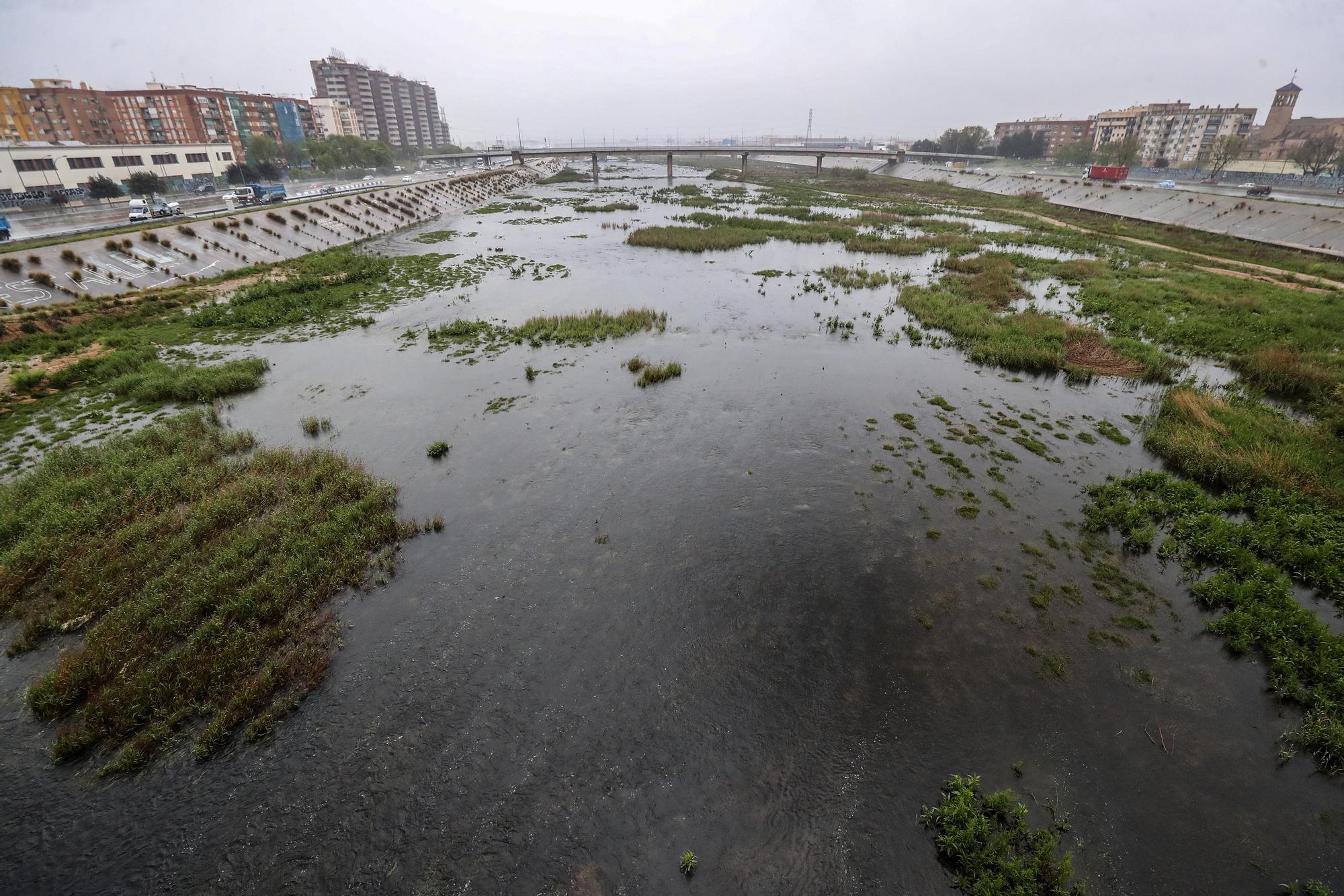 El nuevo cauce del río Turia lleno, de nuevo, por el temporal de ...