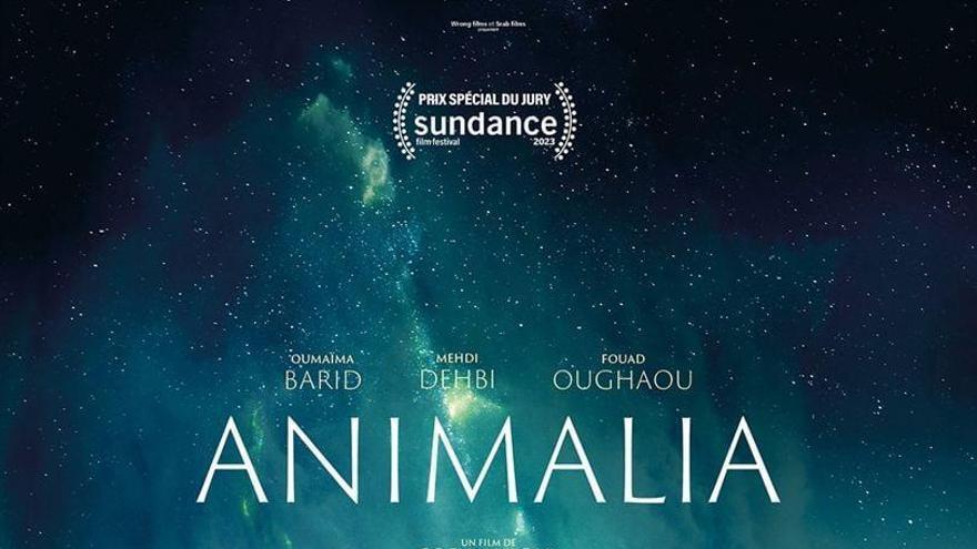 Animalia - El Periódico Mediterráneo