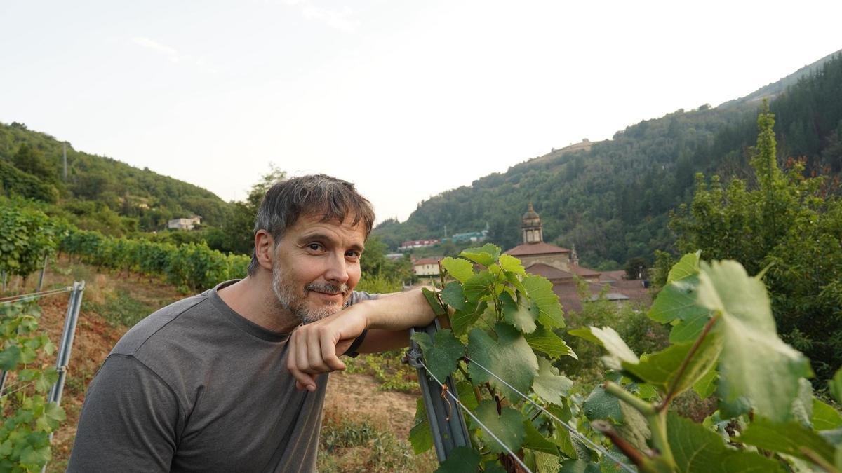 Esta es la opinión del actor y sumiller David Janer sobre el Vino de ...