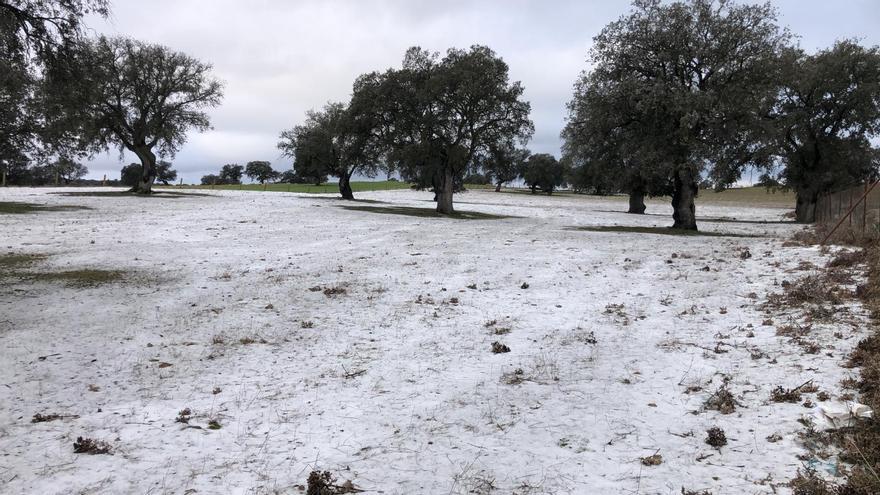 Nieve en Córdoba | El campo de Añora recibe la primera nevada del año