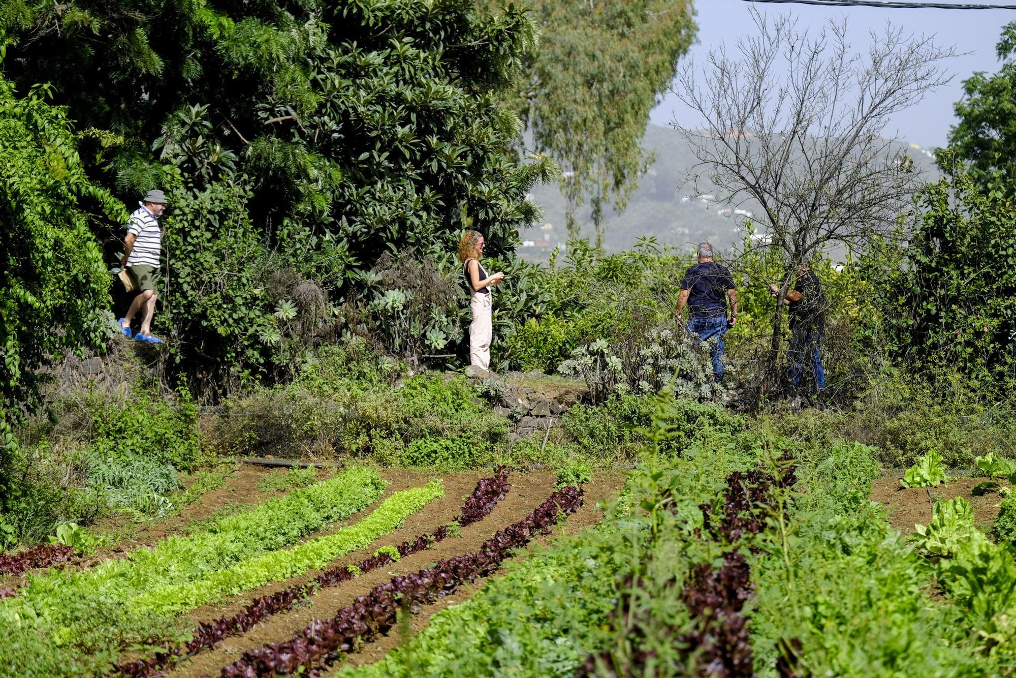 Visita a Ecohuerta Canaria