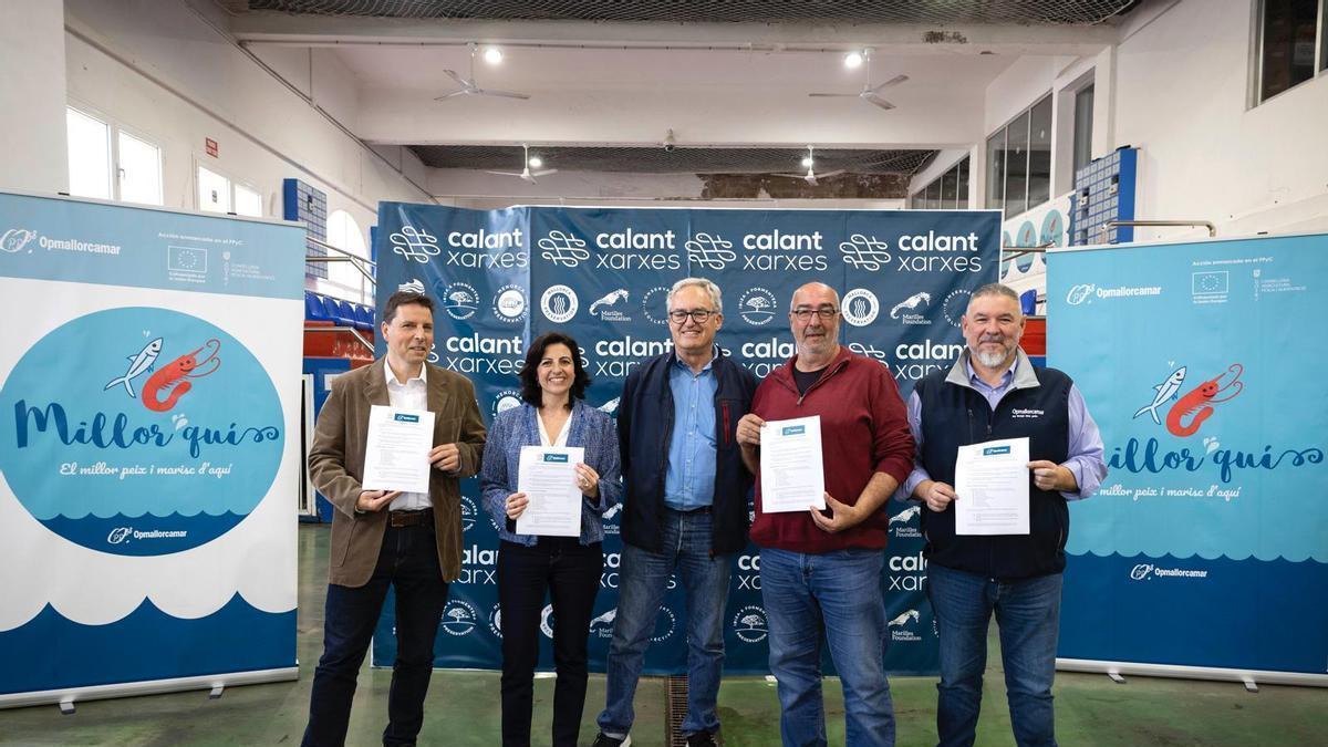 Opmallorcamar y la alianza Calant Xarxes impulsan el desarrollo de la ...