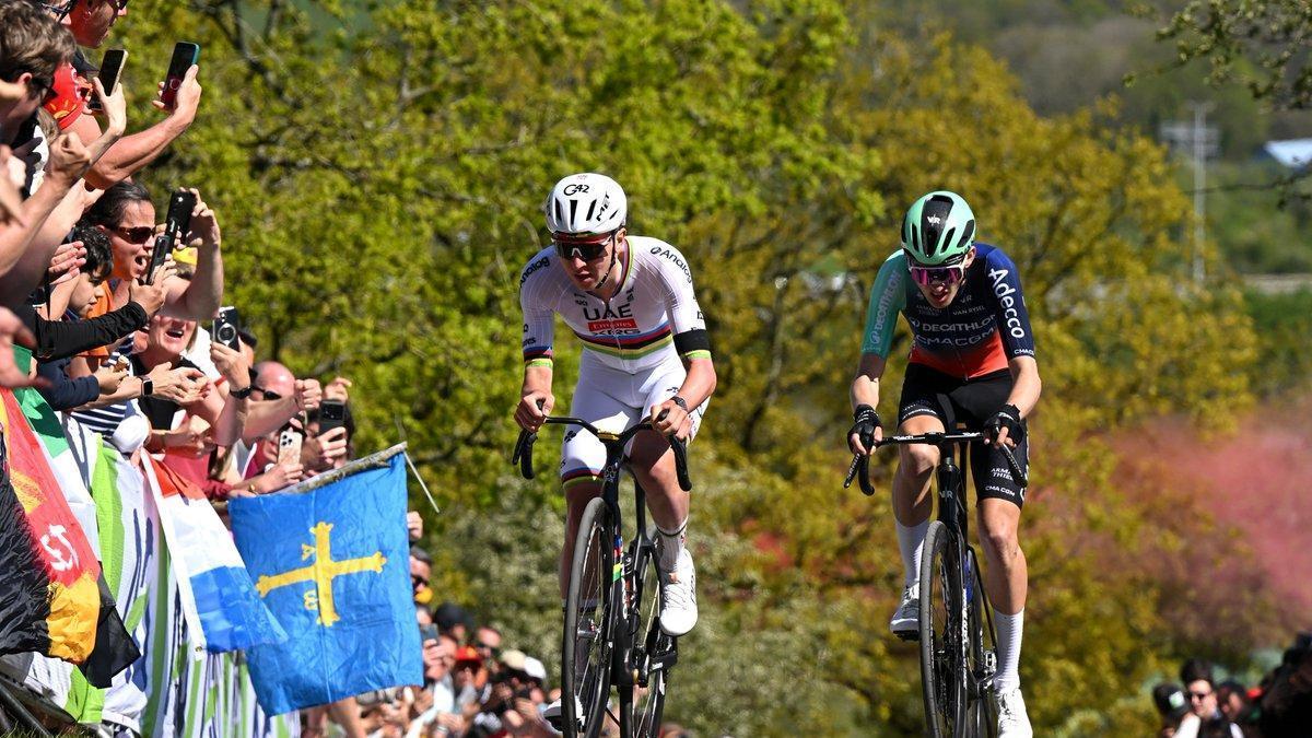 La peste porcina deja al Tour sin el paso por el paraíso cicloturista ...