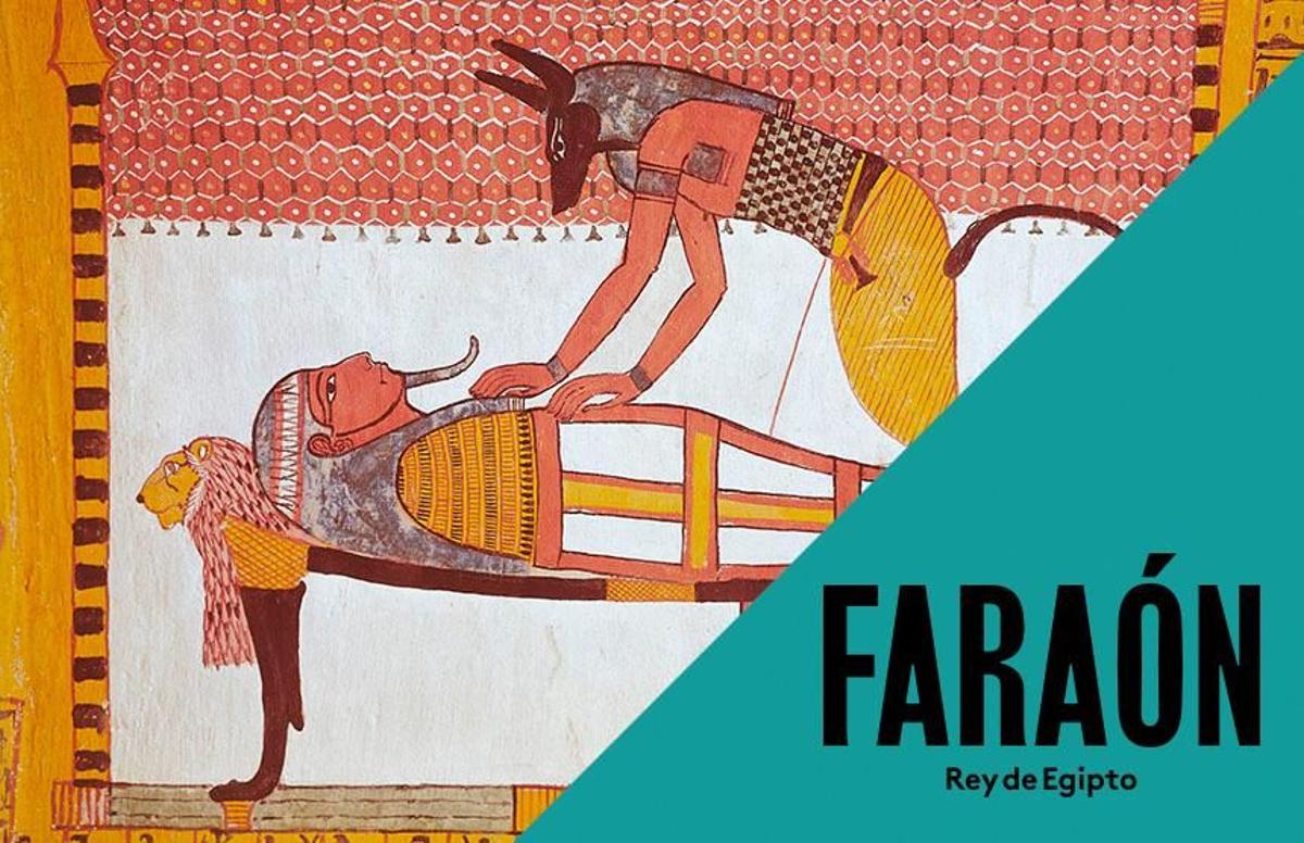 Cómo saber todo sobre los Faraones en un mes - Viajar