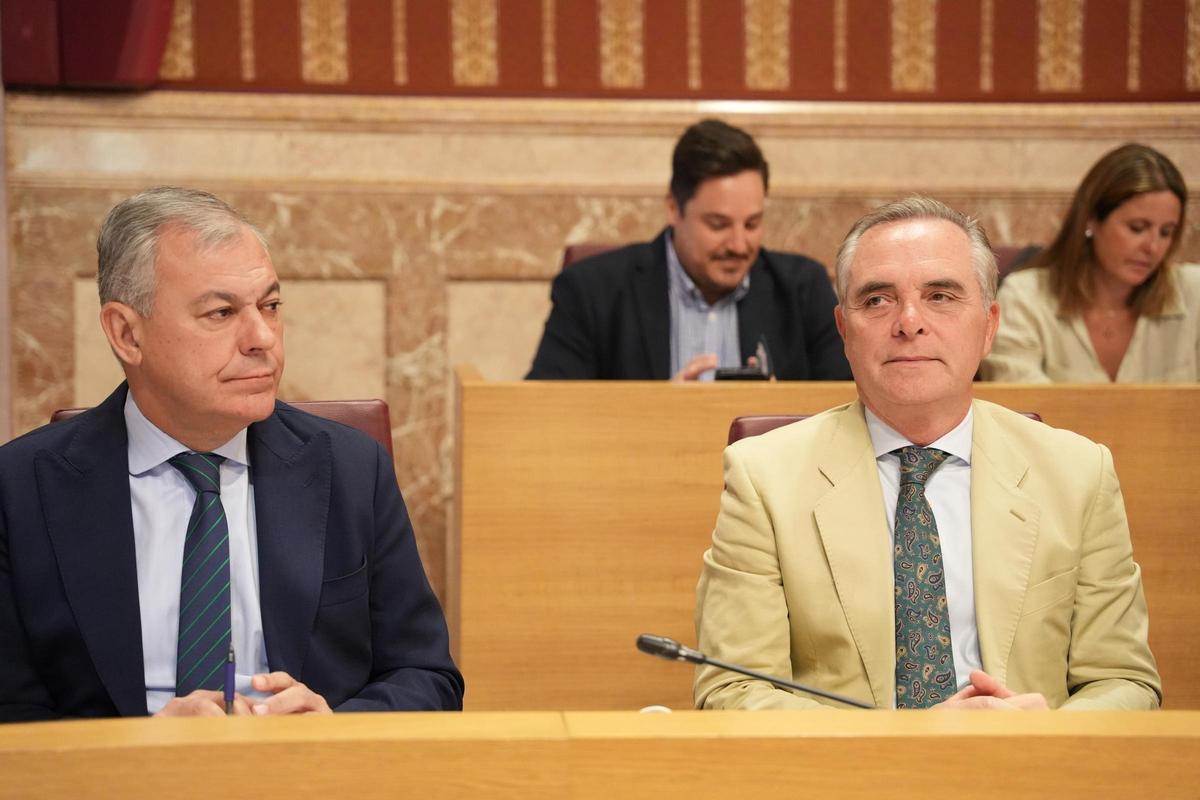 JOSÉ LUIS SANZ MINERVA SALAS GOBIERNO AYUNTAMIENTO SEVILLA | Sanz pone ...