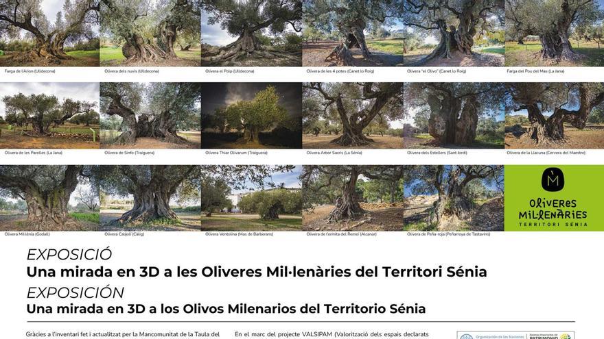 Exposición - Una mirada en 3D a los Olivos Milenarios del Territorio Sénia