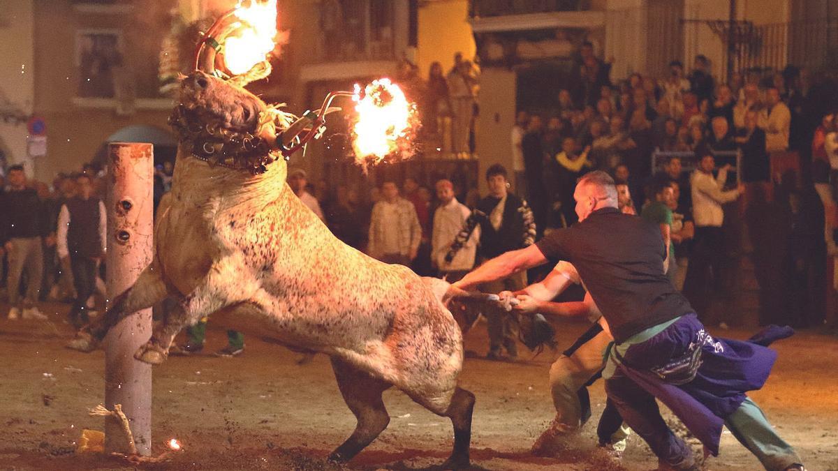 La Fira d’Onda ofrece 27 toros cerriles en una misma semana