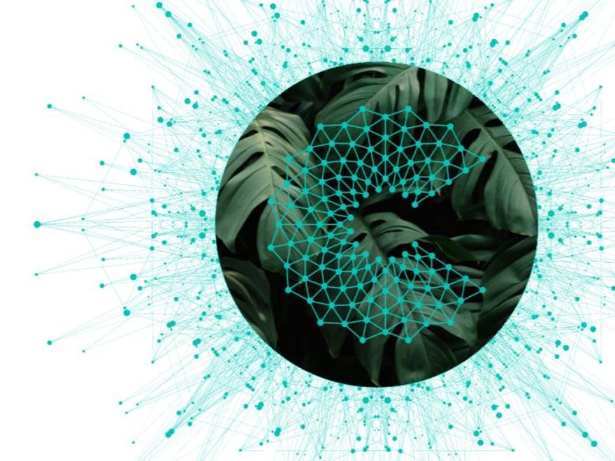 INFORMACION: Noticias de Alicante, Comunidad Valenciana, Deportes, España