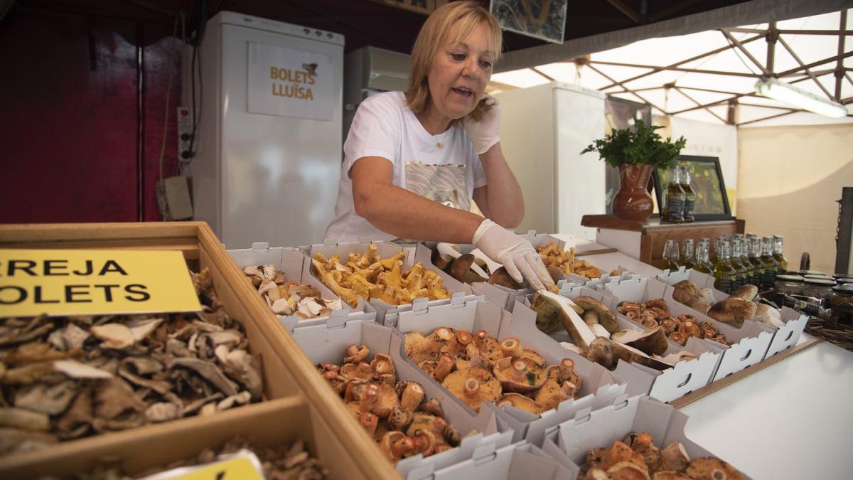 El mercat del bolet de Cal Rosal engega motors amb els ceps com a ...