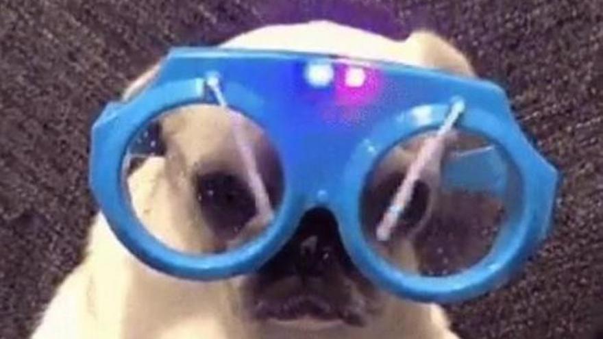 Los memes del temporal