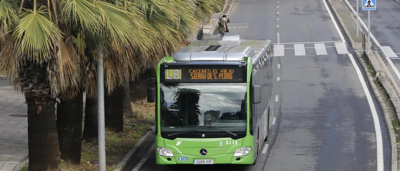 Vecinos de Cáceres piden reforzar la línea 8 del autobús urbano