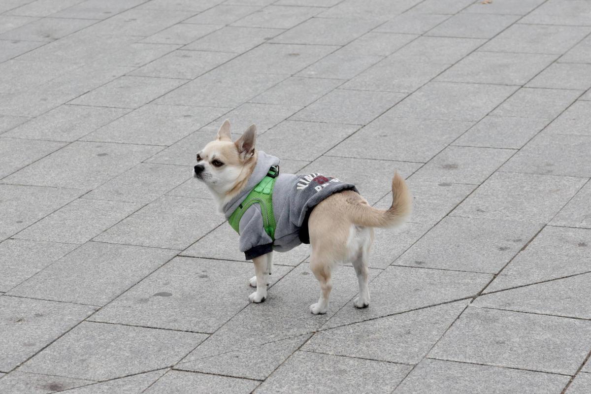 Invierno en Barcelona | FOTOS