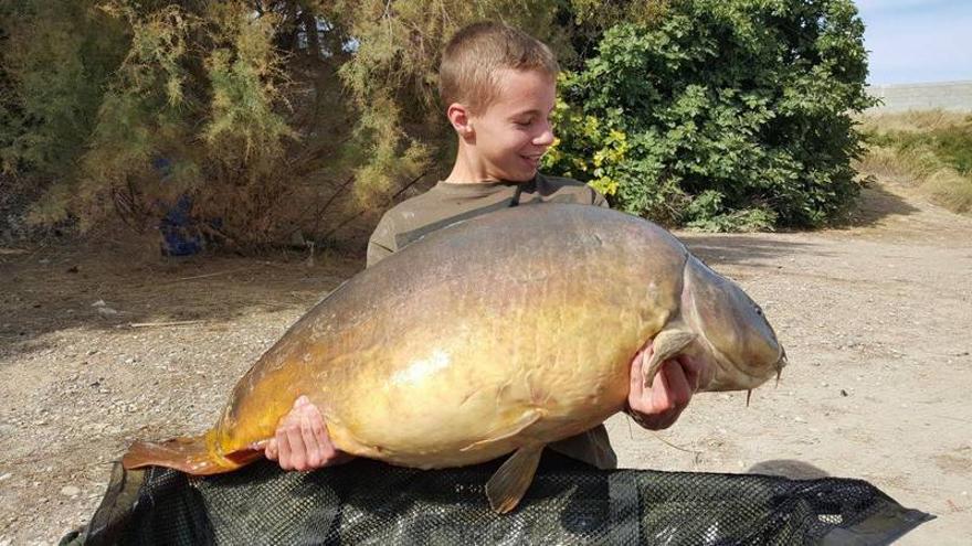 CAPTURADA UNA CARPA DE RÉCORD