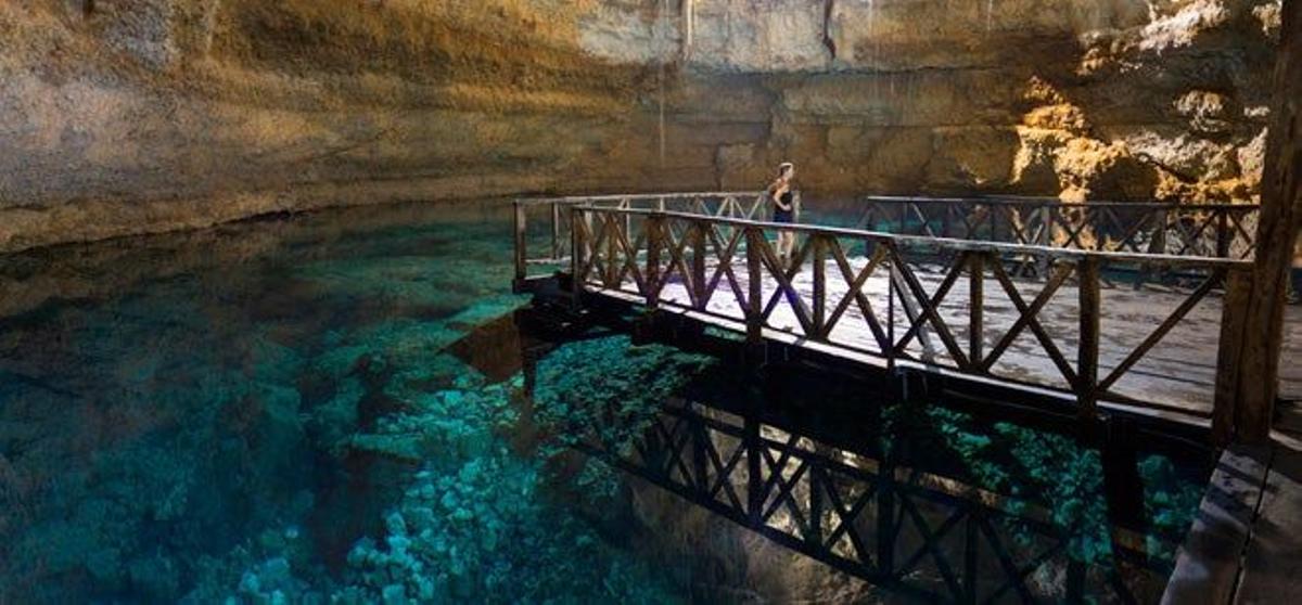 Belleza en los cenotes mexicanos - Viajar