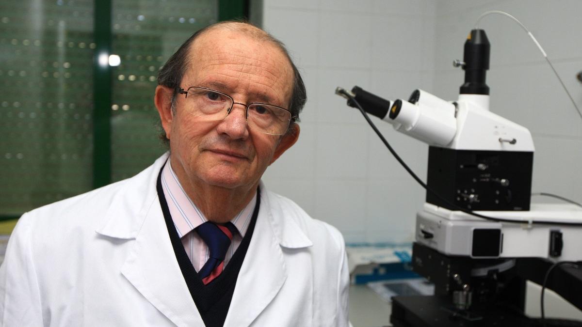 El legado de Miguel Valcárcel