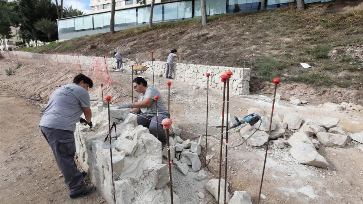 La ladera se transforma - Información