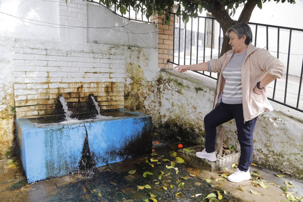 El agua sigue brotando del manantial de El Higueral - Diario Córdoba