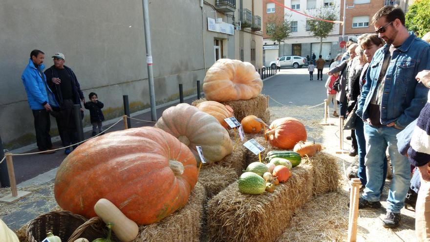 Calaf es retroba amb les grans carbasses i la fira que les acompanya l ...