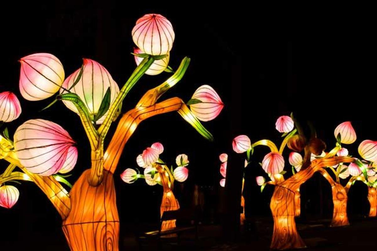 Descubre qué es y cómo se celebra el Diwali, la mayor fiesta de la ...