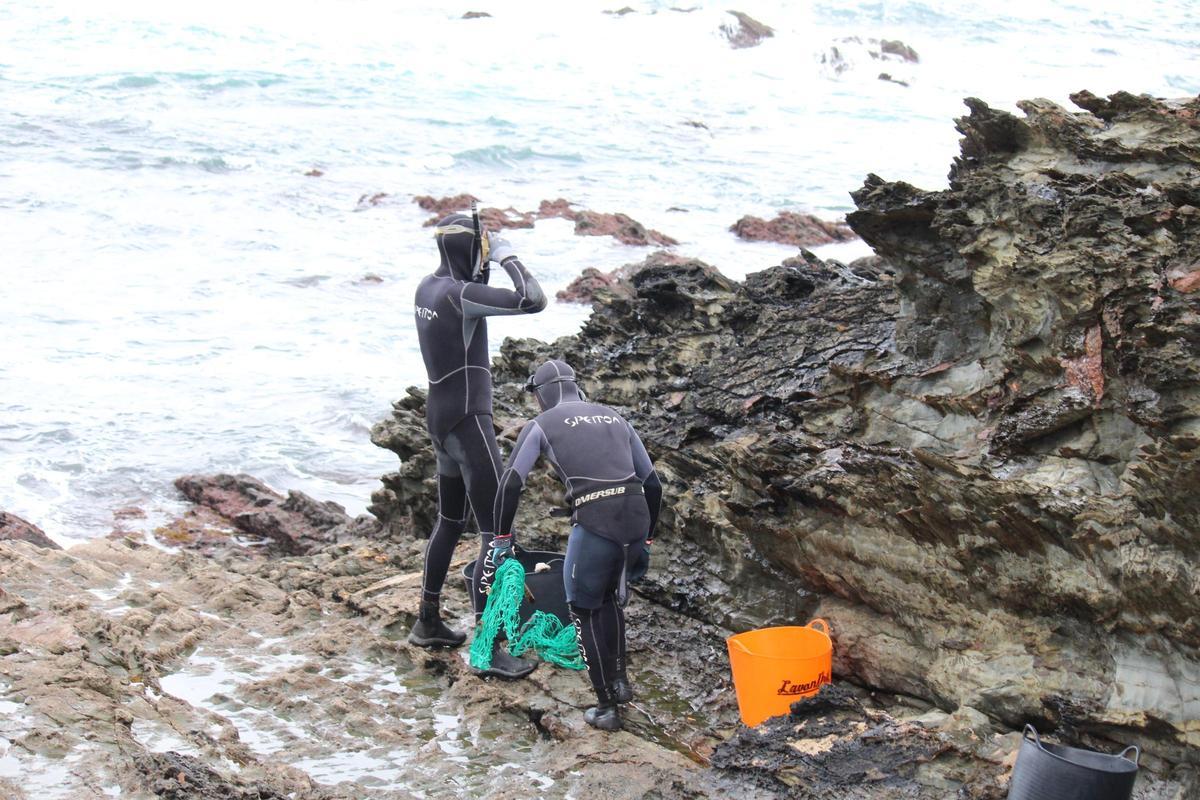 En imágenes: Así fue la primera jornada de extracción del oricio