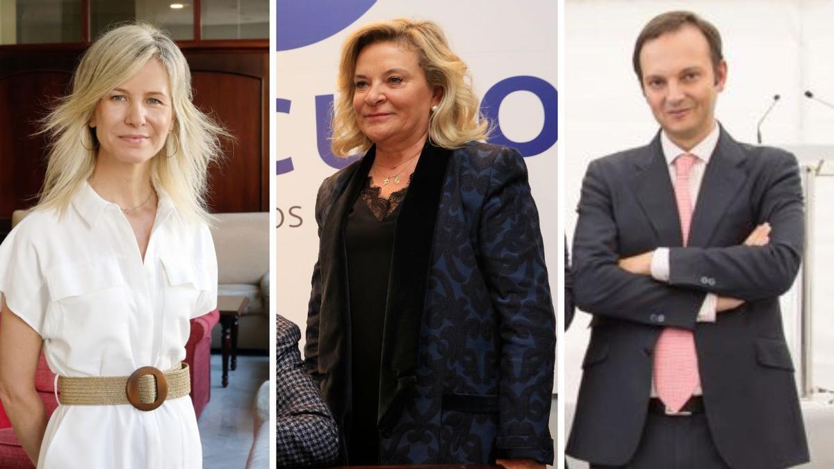 Borrás suma a Zendal, Deloitte, Suardiaz, Verino, Pescapuerta y Hermasa ...