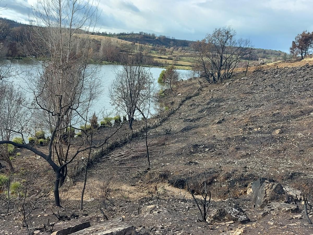 Alcaldes piden más apoyo para restaurar las zonas arrasadas por el ...