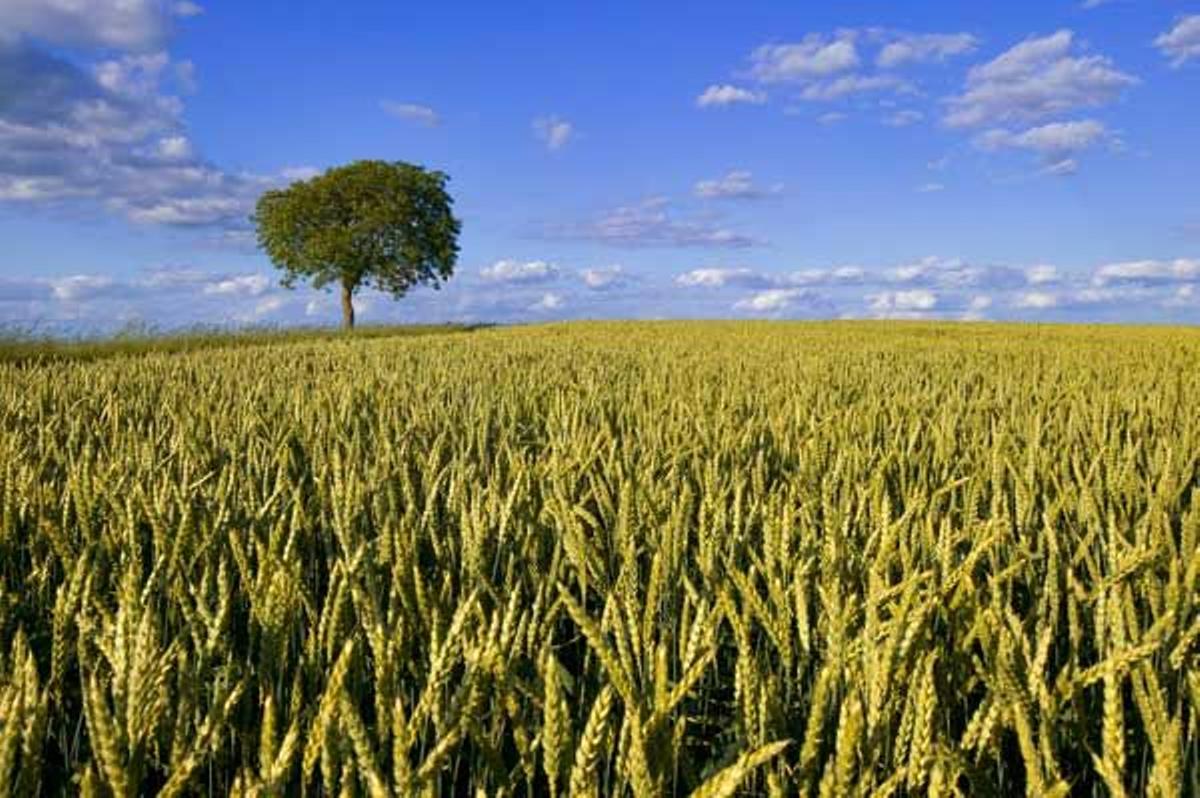 Planicies del mundo - Viajar