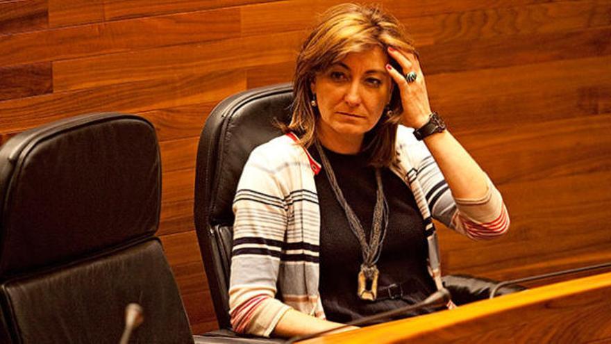La Junta reprueba la gestión de Esther Díaz